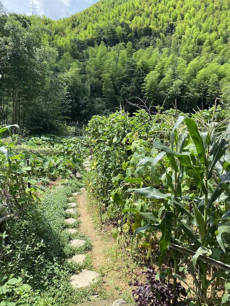 Travel to the idyllic Anji, Zhejiang Province in China - Adventuring We Go