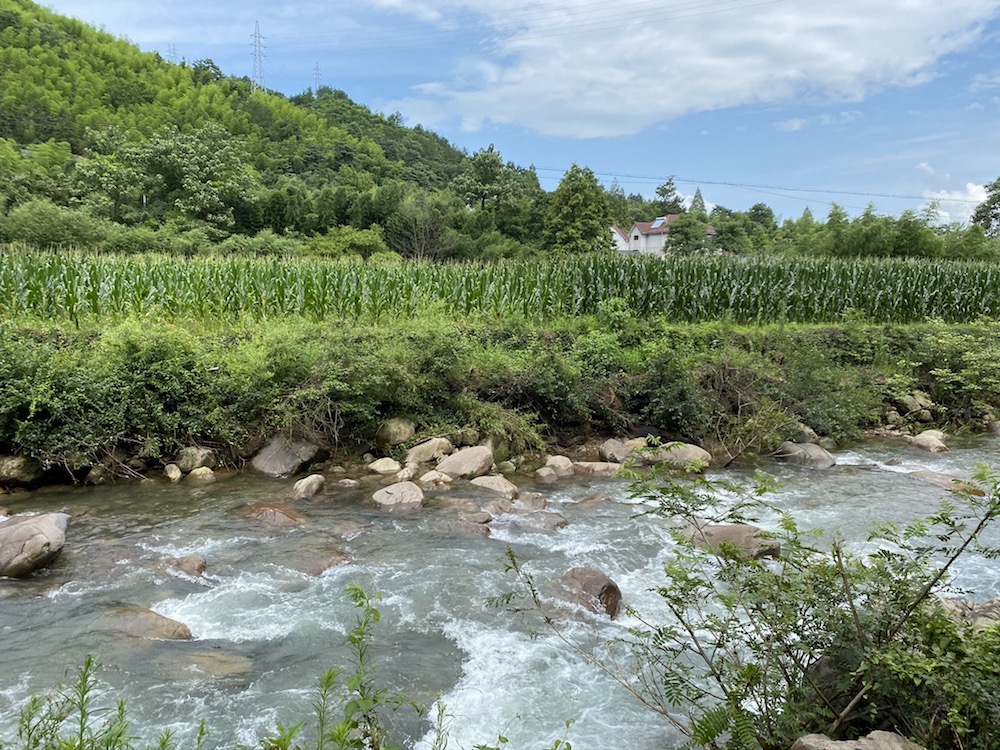 Travel to the idyllic Anji, Zhejiang Province in China - Adventuring We Go