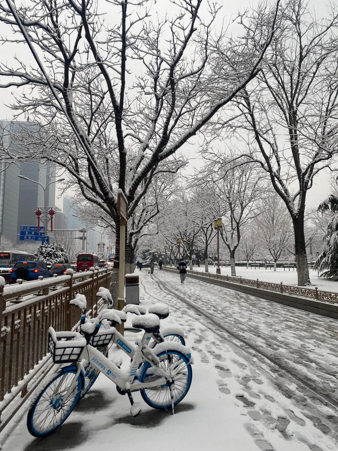 Our first snowfall in Beijing - Adventuring We Go