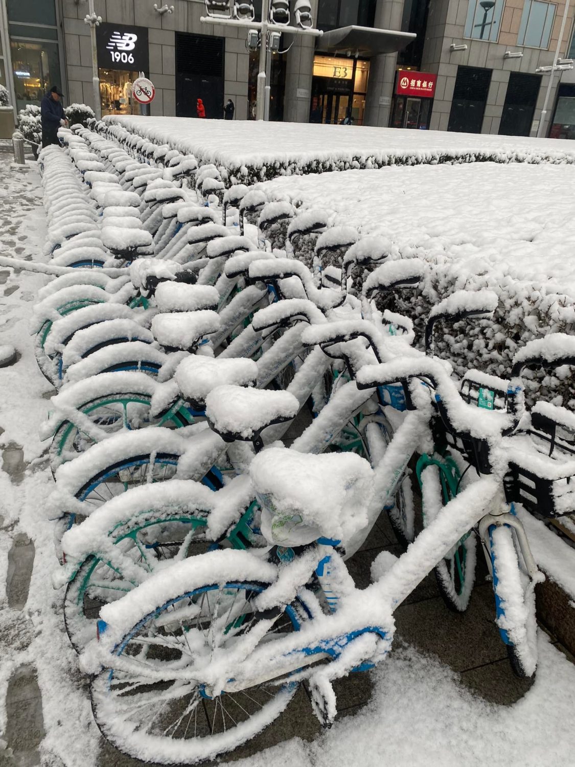 Our first snowfall in Beijing - Adventuring We Go